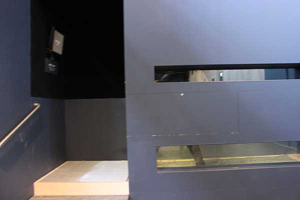 Museumsbesøg - Exploratorium i San Francisco